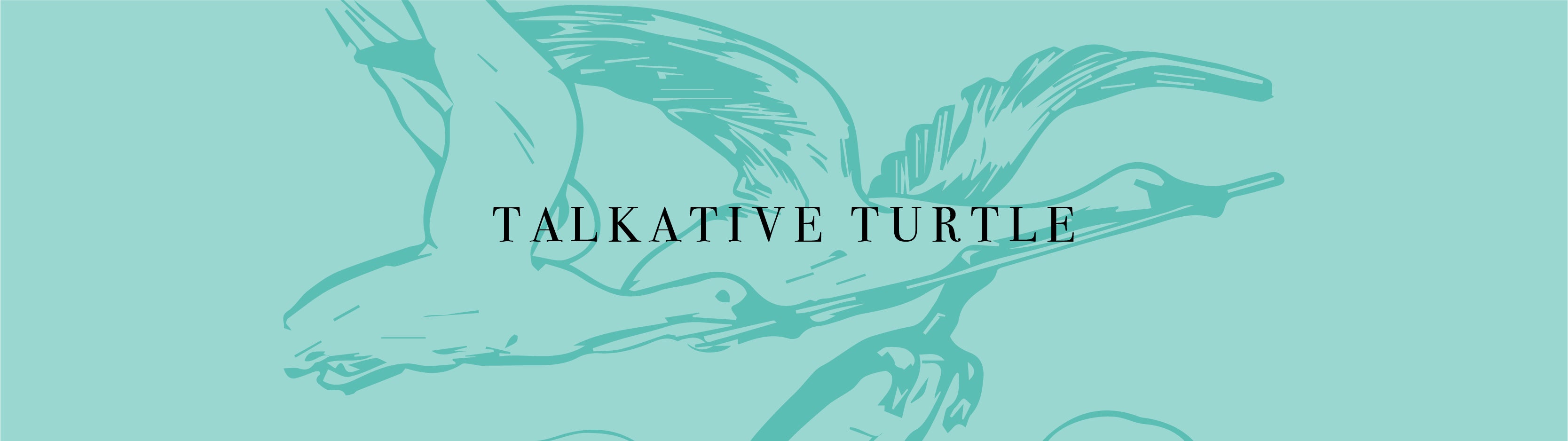 The Talkative Turtle – Story Tailor